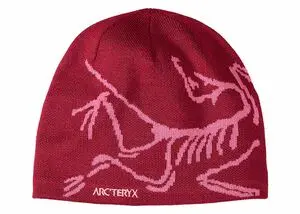 Arc'Teryx Bird Head Toque Beanie - Moonstone/Electra | Editorialist